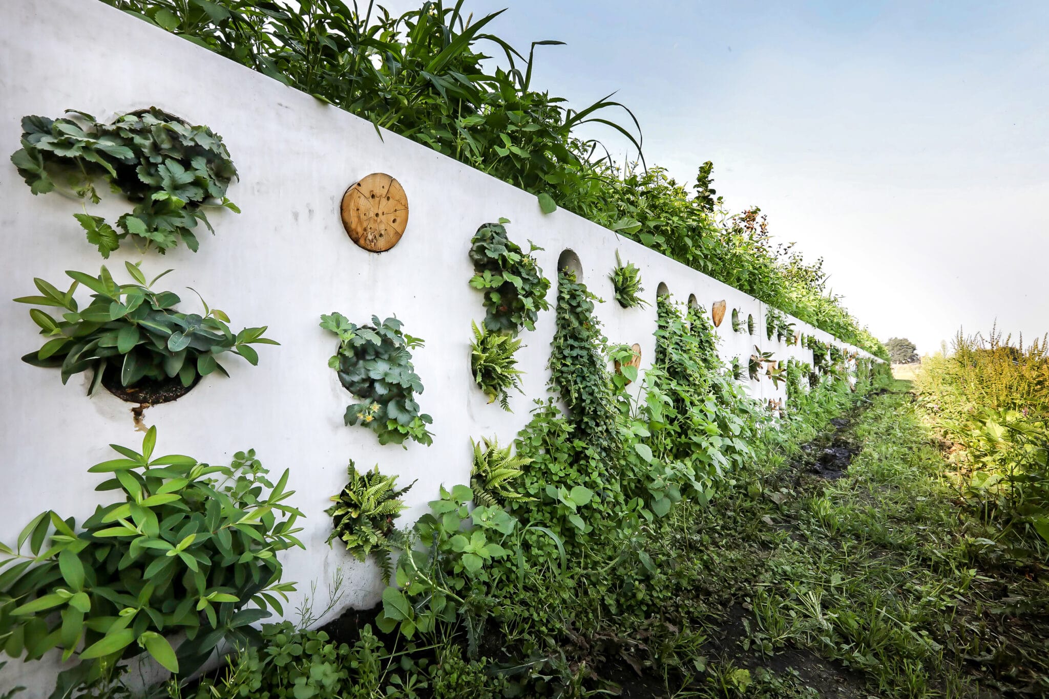 Bosch Beton - The bio retaining wall contributes to biodiversity