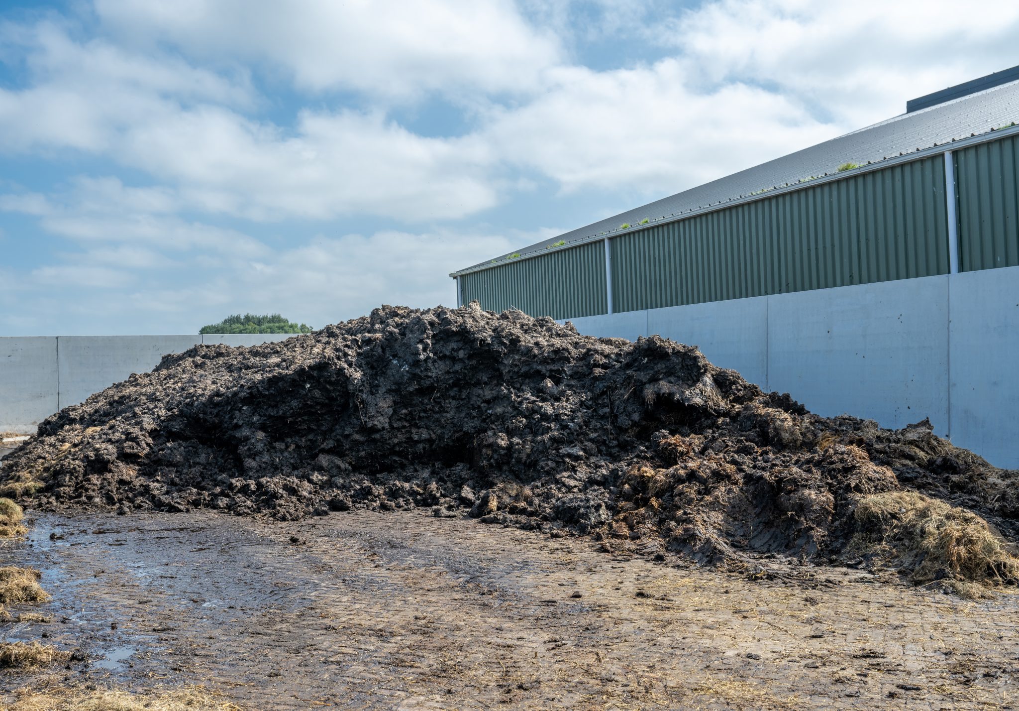 Bosch Beton - Large manure storage in Burgerbrug