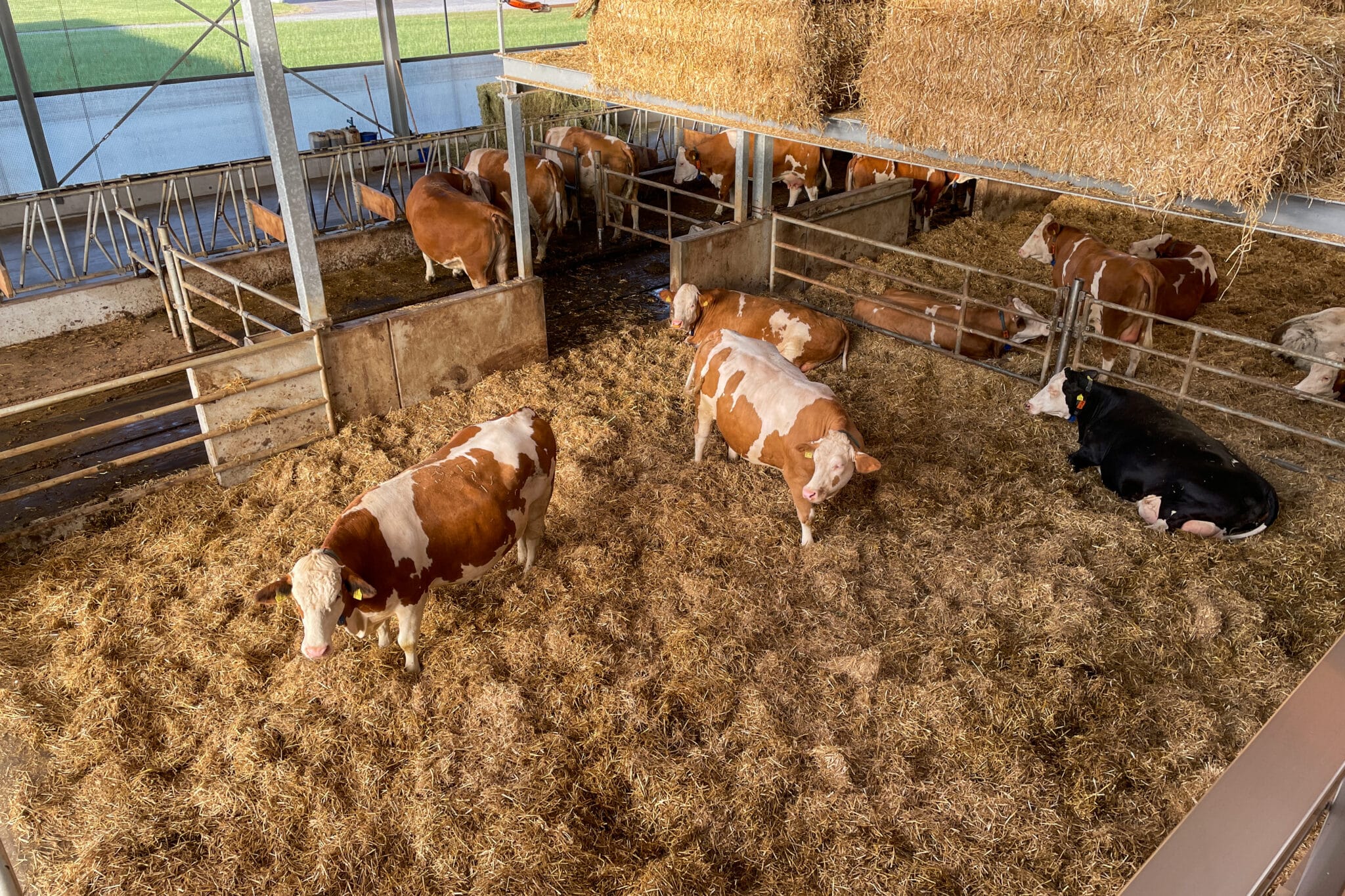 5,600 m3 of forage storage for circular livestock farm in the Black ...