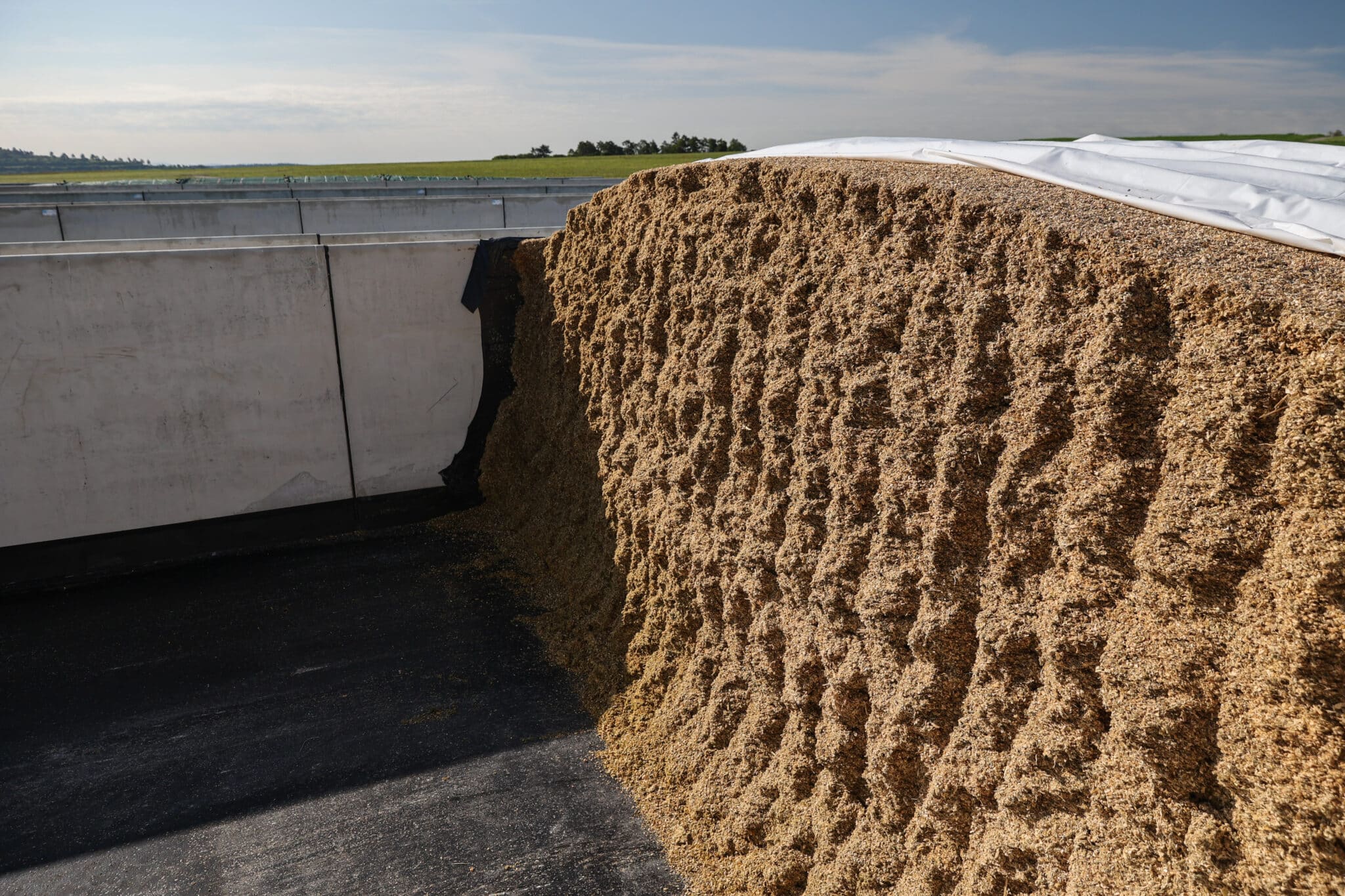 5,600 m3 of forage storage for circular livestock farm in the Black ...